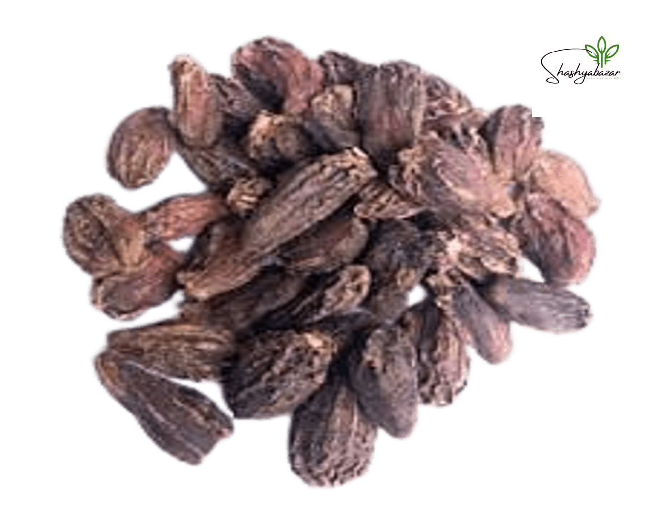Cardamom Black (Elachi) এলাচ - Shashya Bazar