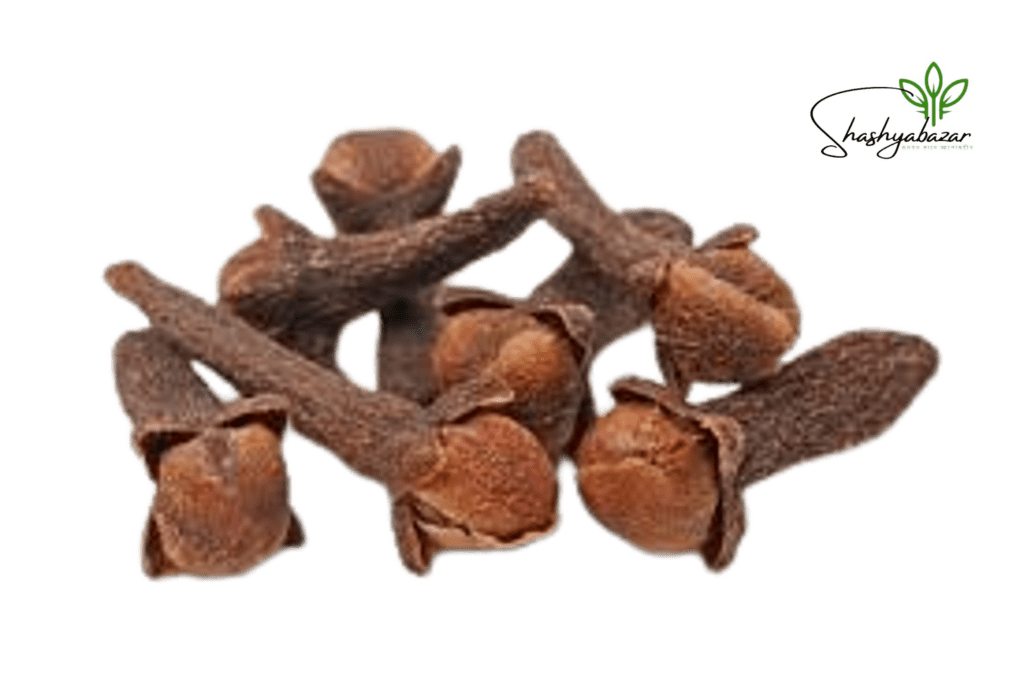 Clove (Lobongo) লবঙ্গ - Shashya Bazar