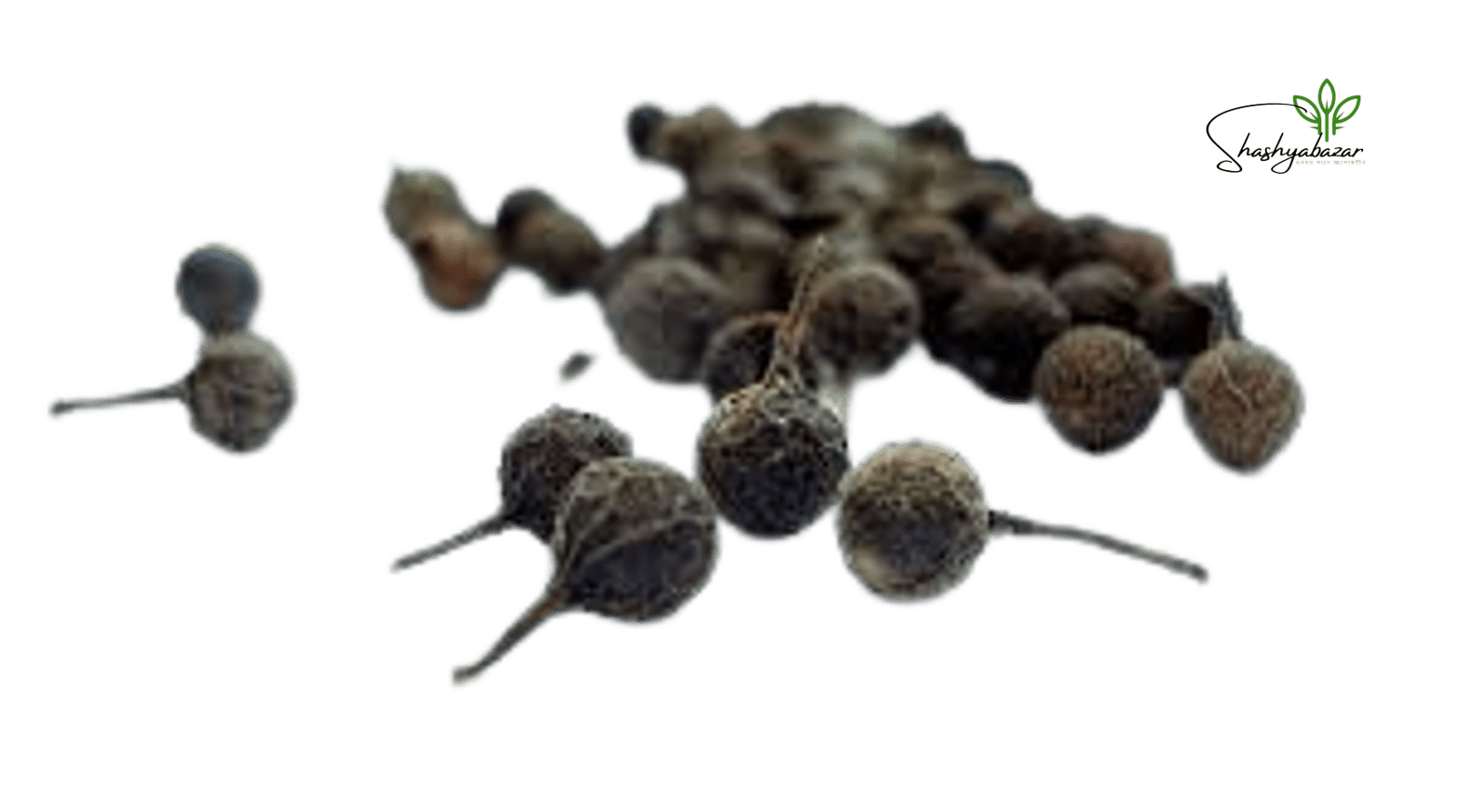 Kabab Chini (কাবাব চিনি) - Shashya Bazar